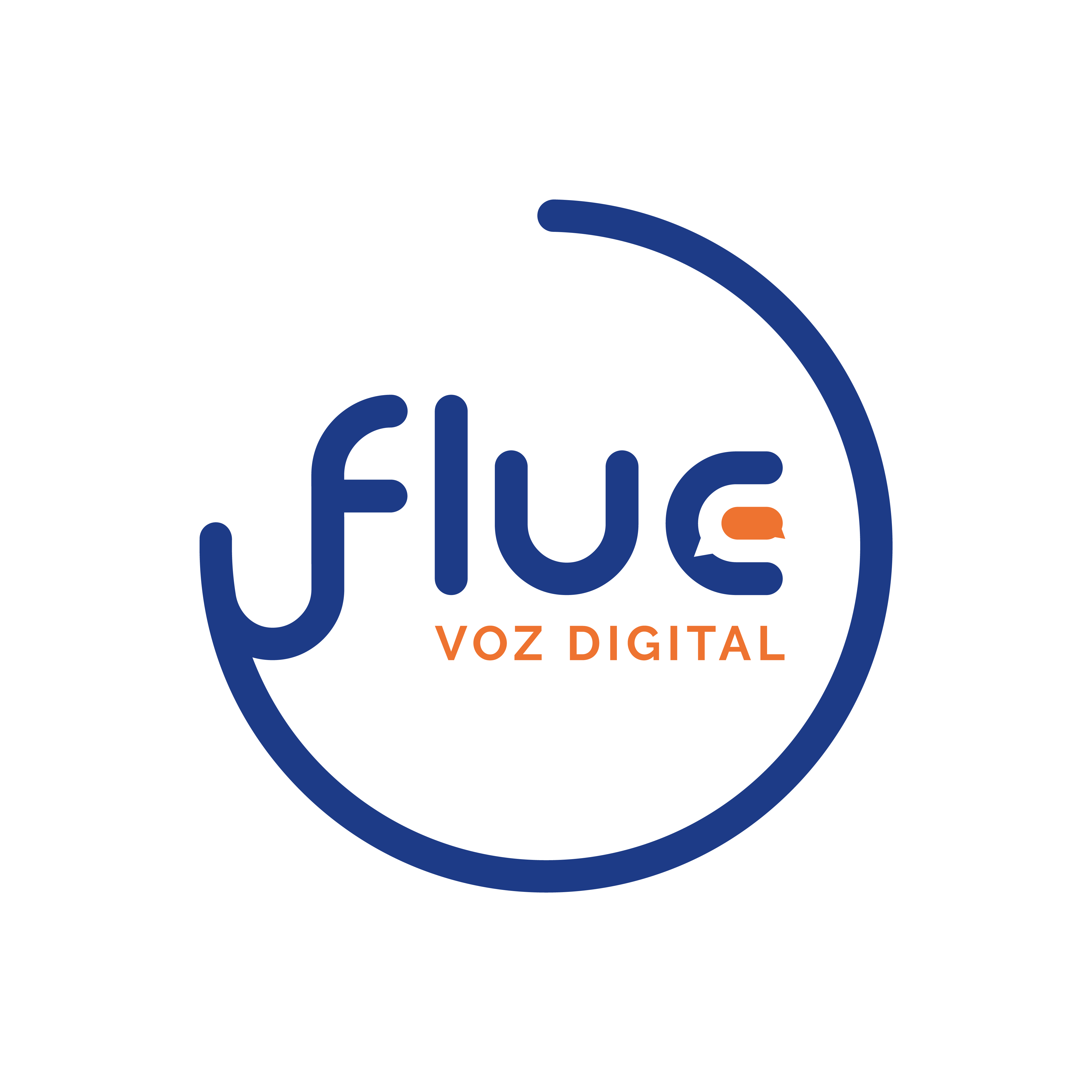 Flue